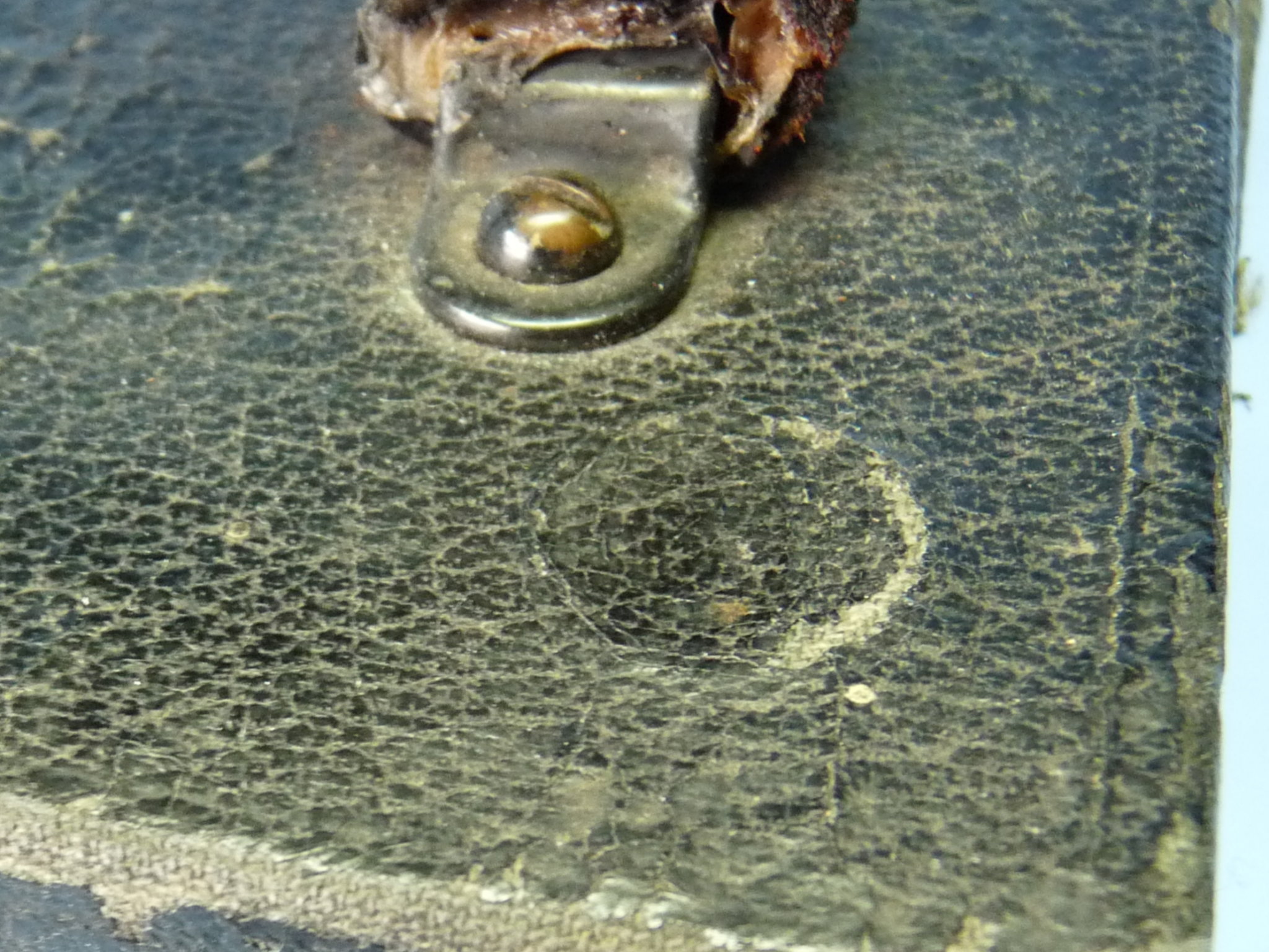 The 100th Anniversary of the World’s First Electronic Hearing Aid ...